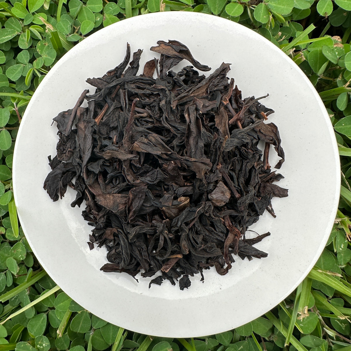 1980 Narcissus Wuyi Shui Xian – Mountain Stream Teas