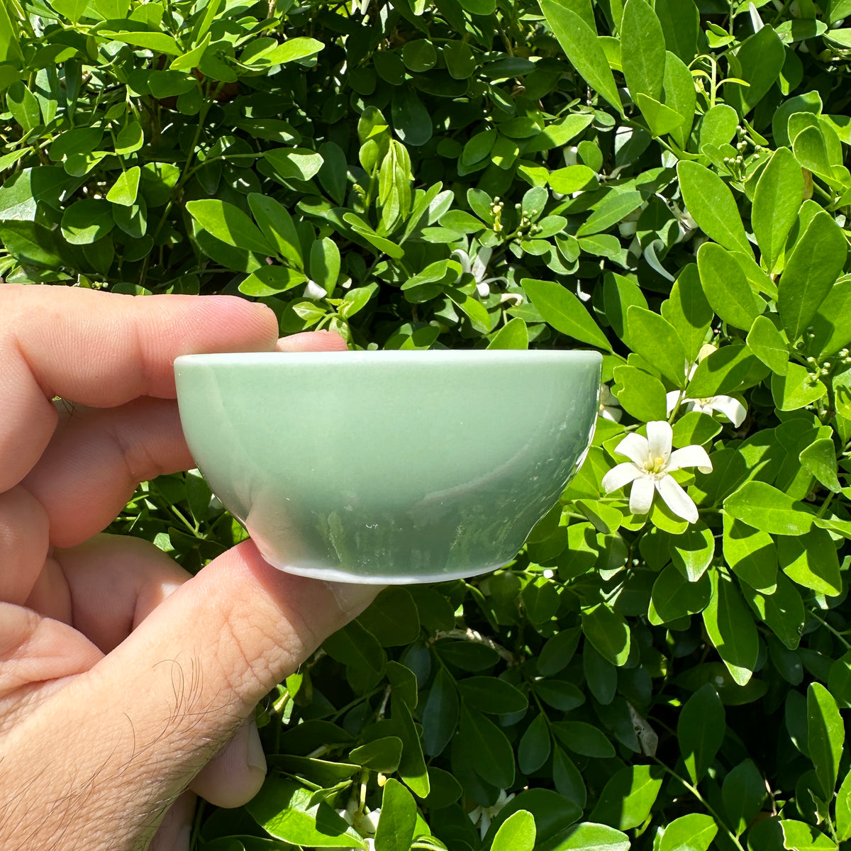 Light Green 'Fish' Tea Cup – Mountain Stream Teas