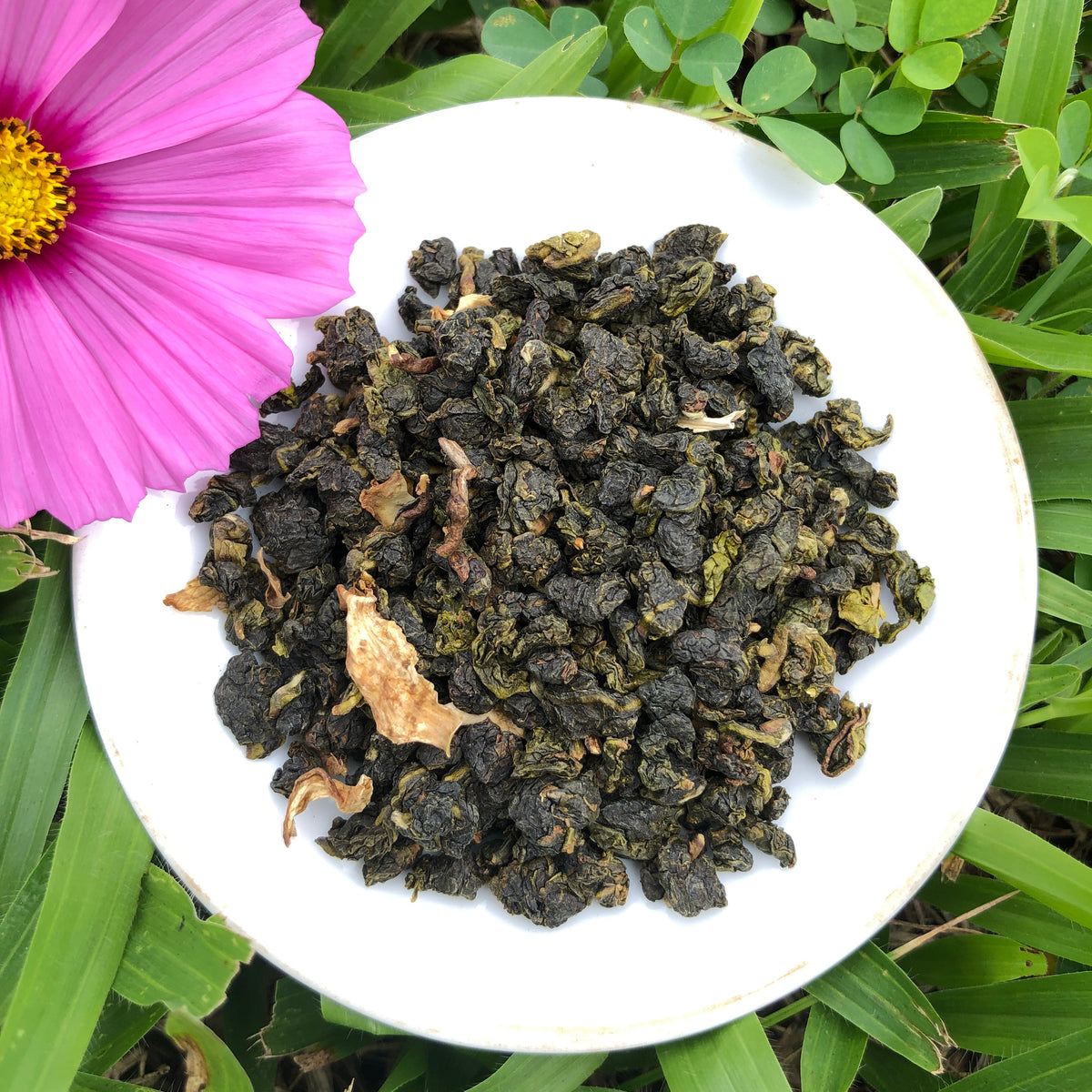 Gardenia Flower Oolong(2025) – Mountain Stream Teas 統一編號: 54809297